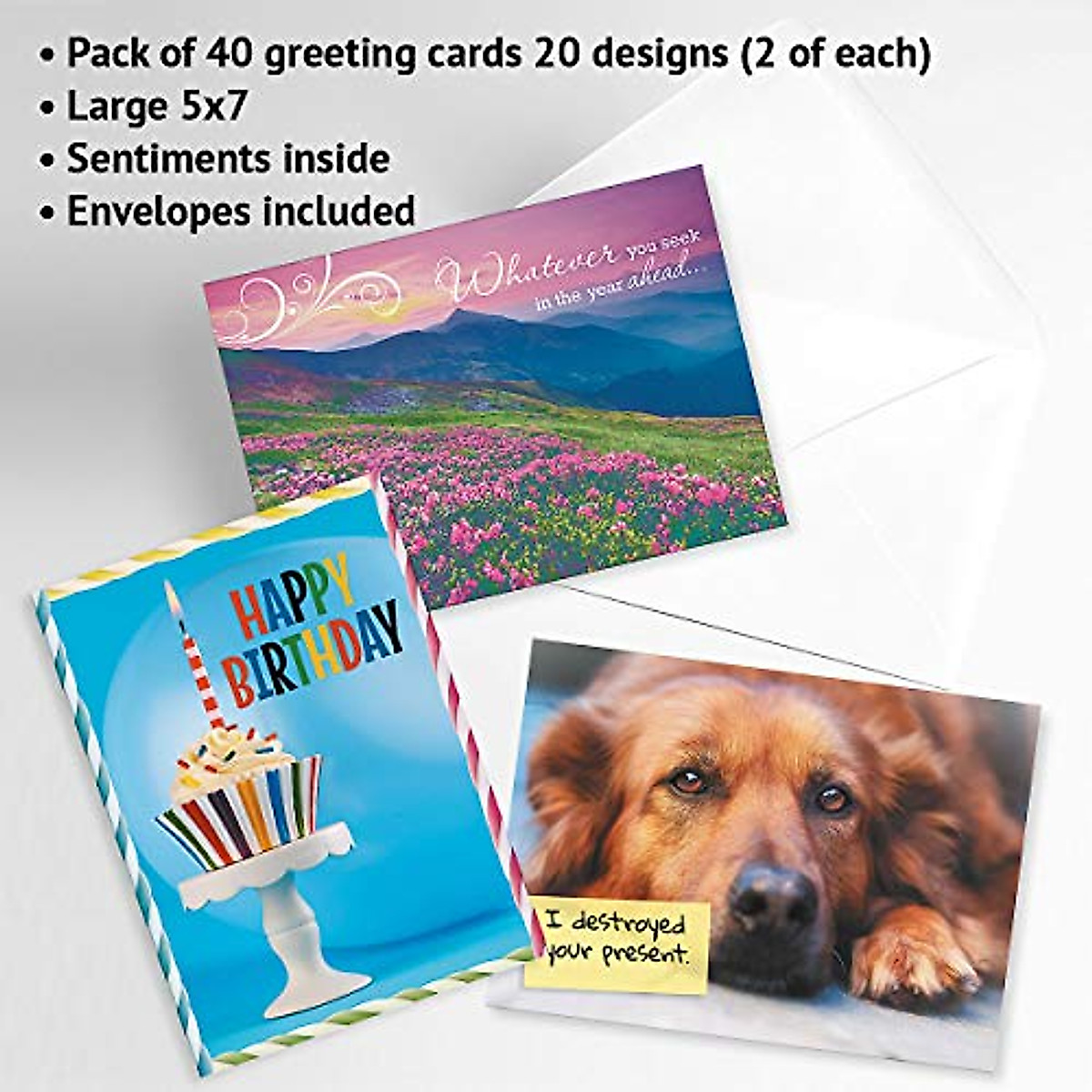 Current Mega Birthday Greeting Cards Value Pack – Set of 40 (20 Designs), Large 5 x 7 inches, Envelopes Included
