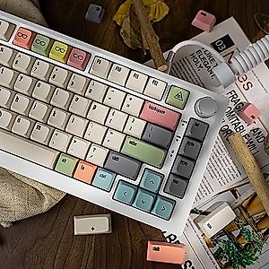 JOLINTAL 134 Keys Canvas Retro Beige Keycaps, PBT Custom Keycaps, Dye Sublimation Cherry MX XDA Profile Keycaps for Mechanical Keyboard