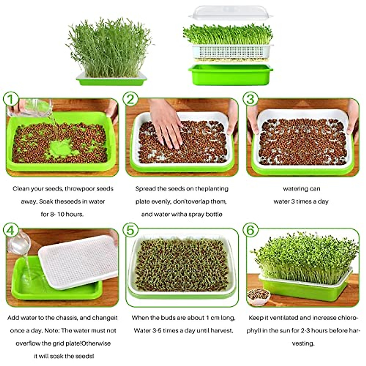 QHC KOCK 6-Pack Seed Sprouter Tray BPA Free PP Soil-Free Big Capacity Healthy Wheatgrass Grower Sprouting Container Kit Wheatgrass Cat Grass Seedling Planting Storaging Trays for Garden Home Office