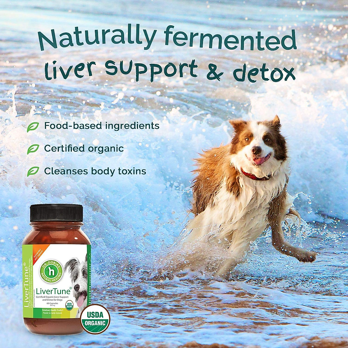 LiverTune - Certified Organic Naturally Fermented Liver Support