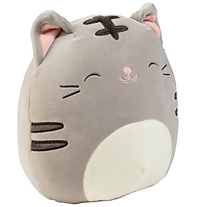Squishmallows Mystery 8-Inch Cat Plush - Receive 1 Plush - Official Jazwares - Nathan or Tally - Collectible Soft & Squishy Kitty Stuffed Animal Toy - Gift for Kids, Girls & Boys