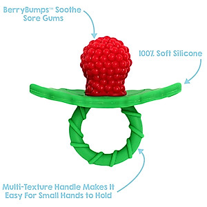 RAZBABY Razbuddy Razberry Teether/Pacifier Holder w/Removable Baby Teether Toy - 0M+ - Bpa Free - Bunny