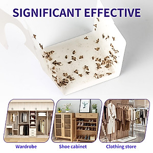 Clothes Moth Traps, 10 Pack Pheromones Clothing Moth Trap with Lure for Closets & Wardrobes, Carpet and Fabric Moth, Moth Treatment & Prevention for Indoor