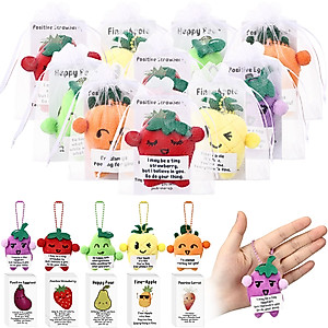Hotop 20 Sets Christmas Coworker Gifts Bulk Positive Employee Appreciation Gift Inspirational Thank You Staff Gift(Fruits)