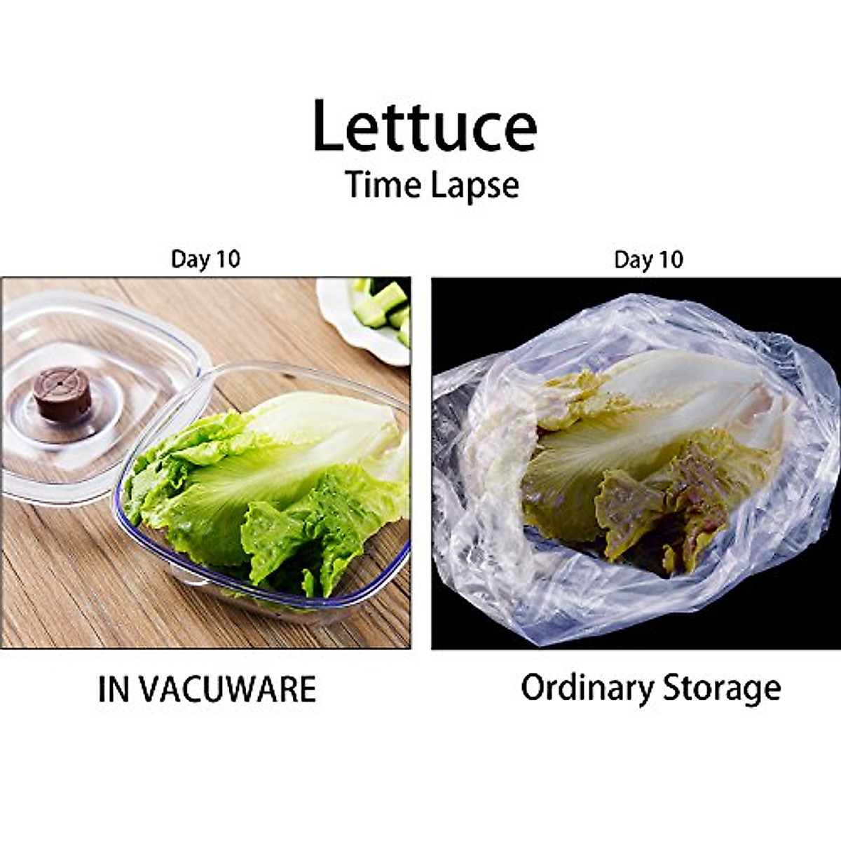 GERYON Vacuum Seal Container for Food Preservation, 2.1 QUART(2 LITER）Work with GERYON Vacuum Sealer Machine