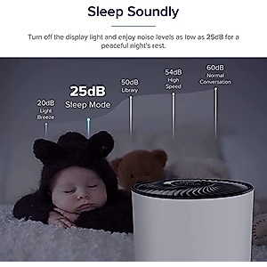 Air Purifier for Home Bedroom Office Desktop Pet Room Air Cleaner for Car with True HEPA Filters and Silence white plus