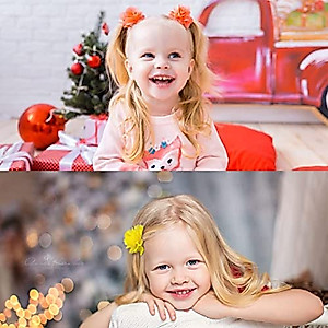 DeD 40PCS 2" Chiffon Flower Hair Bows Clips Flower Tiny Hair Clips Fine Hair for Girls Infants Toddlers Set of 20 Pairs