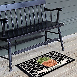 JellyBean Pineapple Welcome Rug