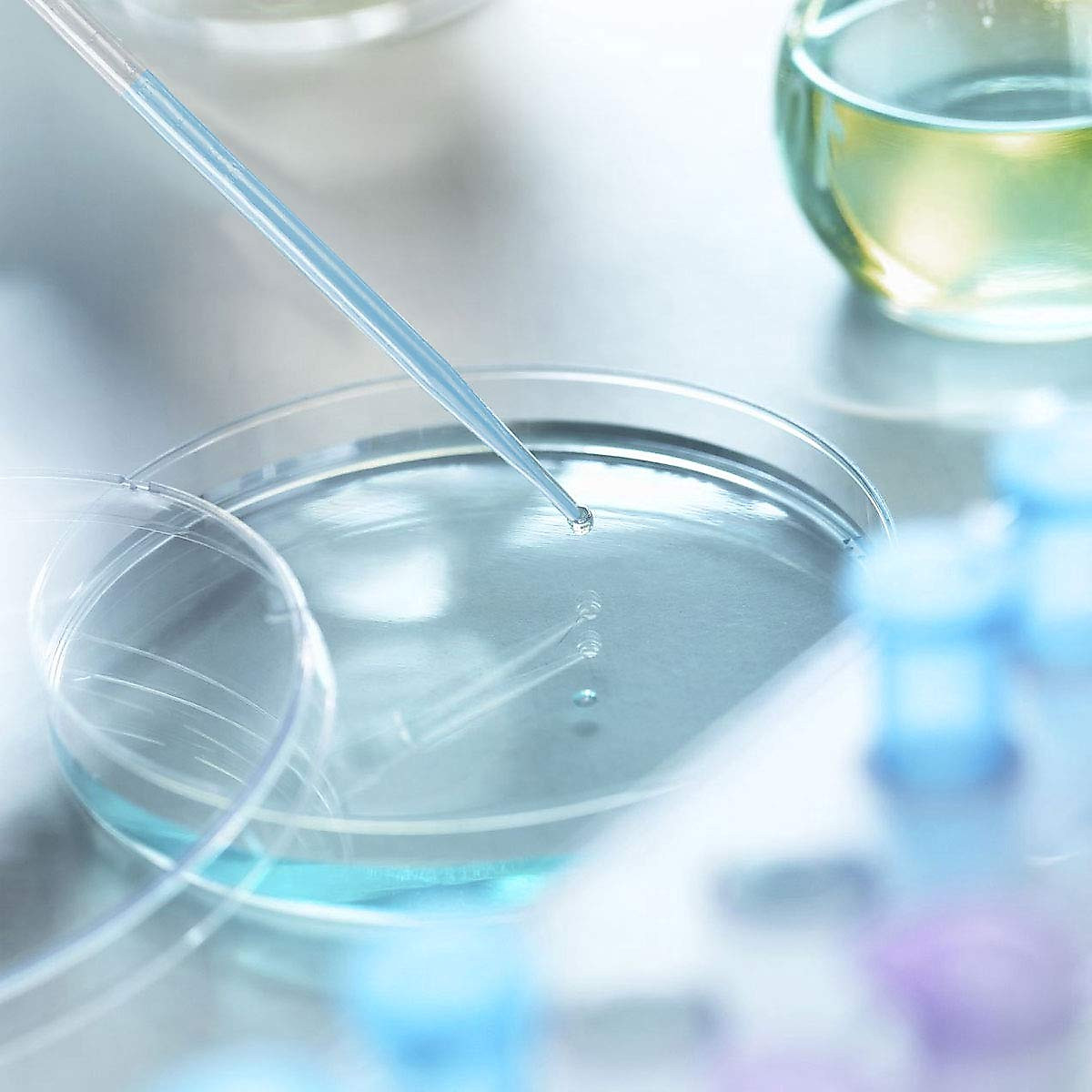 50 Pack Plastic Petri Dishes with Lid, 90mm Dia x 15mm Deep Sterile Petri Plates with 100 Pack 3 ml Plastic Transfer Pipettes, Petri Dish Set for Lab, Experiment, Biology, Microbiology Studies