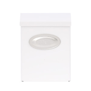 Architectural Mailboxes Designer Galvanized Steel, Locking Wall Mount Mailbox, White with Satin Nickel
