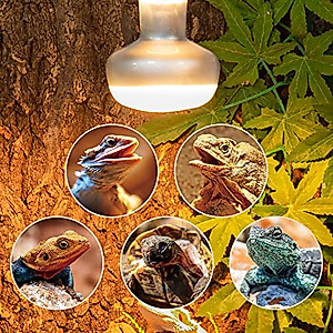 REPTI ZOO 2 Pack Reptile Heat Lamp, 75W Reptile Basking Bulb Simulate Natural Sunlight Heating Lamp Bulb, UVA Heat Lamp Bulb for Reptiles Chickens Heating Use