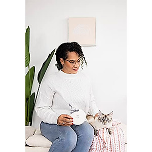 Pearhead DIY Pawprints Keepsake Kit for Dogs Or Cats, Christmas Ornament, Holiday Home Décor for Pet Lovers, Clay Paw Print Imprint, White