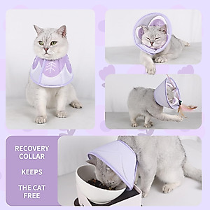 WZ PET Cat Recovery Collar Cone,Adjustable Cat Cone Collar Soft,Cone for Cat After Surgery,Kitten Cone,Purple,M