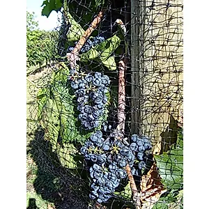 Bird-X Standard Bird Netting, Ideal for Gardens and Lightweight Applications, UV-Stabilized Mesh Netting with 3/4" Hole Opening, Easy to Install, 100' x 14'