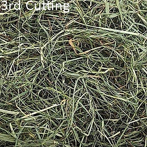 Small Pet Select-Sampler Box, 2ND Cutting, 3RD Cutting Timothy Hay, Oat Hay, & Orchard Hay