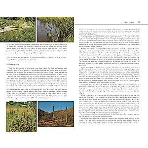 Edible Wild Plants: A North American Field Guide to Over 200 Natural Foods