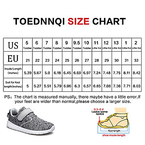 TOEDNNQI Boys Girls Sneakers Kids Lightweight Breathable Strap Athletic Running Shoes for Toddler/Little Kid/Big Kid 179-Grey/White Size 8