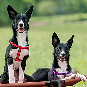 Veehoo Cooling Elevated Dog Bed, Portable Raised Pet Cot with Washable & Breathable Mesh, No-Slip Rubber Feet for Indoor & Outdoor Use, Large, Black Silver