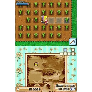 Harvest Moon: Grand Bazaar - Nintendo DS