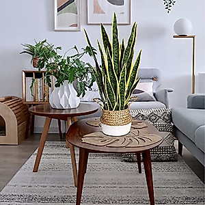 Artificial Snake Plant, 27" Fake Sansevieria with Basket, Faux Plants for Indoor Home Office Store Decoration, Perfect Faux Mother in Law Plants