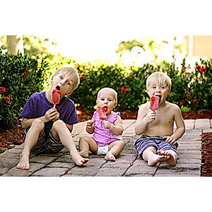 Ecozoi Stainless Steel Popsicle Molds and Rack - 6 Square Ice Pop Makers + 30 Reusable Bamboo Sticks + 12 Silicone Seals + 1 Cleaning Brush +1 Rack