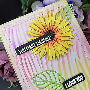 Alinacutle Sentiments Clear Stamps and Tag Die Set, Stripe Stamp Banner,Paper Craft Metal Die-Cuts,Scrapbooking Cutting