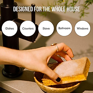 Public Goods Walnut Scrubber Sponge | Cleaning & Scrubbing Sponges for Dishes & Kitchen Sink | Natural, Plant-Based Sponges | Made in Canada | Pack of 4