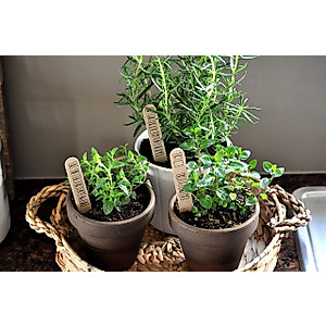 Doter Organic Potting Soil Mix for All Indoor & Outdoor Small Containers Including Herbs, Vegetables, and Flowers 1 qt