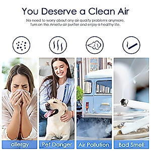 Air Purifiers for Bedroom Home Large Room 610 sq.ft, Updated AMEIFU H13 Hepa Air Purifier Cleaner with Aromatherapy for Pets Hair, Allergies, Smoke, Dust and Bad Smell (California Available)
