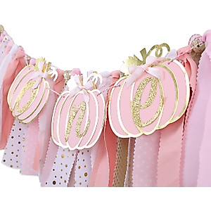 Pumpkin Highchair Banner for 1st Birthday - Our Little Pumpkin Banner, Pumpkin Birthday Party Decorations, Pink Gold First Birthday Banner, Baby Shower Decorations for Baby Girl