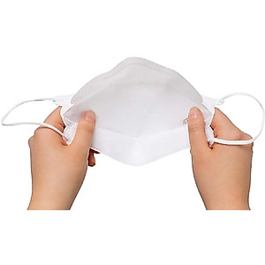 [20 Pack] Authentic [Air Queen] 3-Layers Nano-Filter Face Safety Mask for Adult [Individually Packaged] [Made in South Korea]