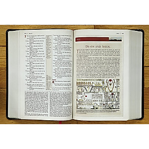 NIV, Cultural Backgrounds Study Bible (Context Changes Everything), Bonded Leather, Black, Red Letter: Bringing to Life the Ancient World of Scripture