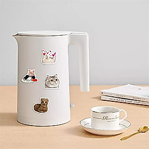 200 Pcs Cute Cat and Dog Stickers, Cat Funny Meme Waterproof Stickers,Vinyl Stickers for Water Bottle,Laptop,Phone,Skateboard Stickers for Kids Aldult Teens Girls (CDE)