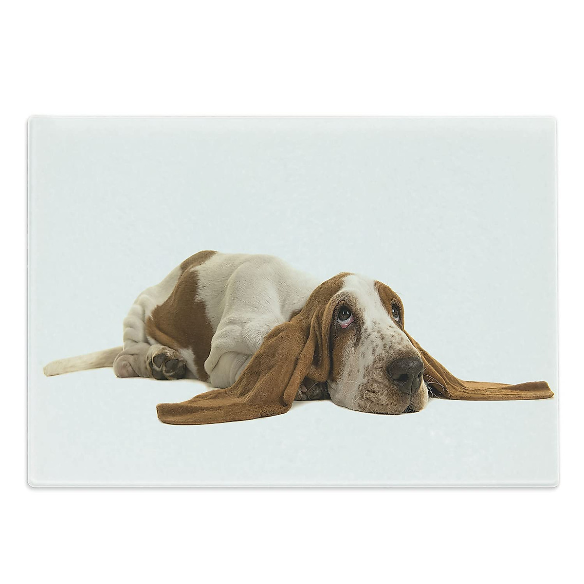 Ambesonne Basset Hound Cutting Board, Long Eared Dog Lying down on White Background, Decorative Tempered Glass Cutting and Serving Board, Large Size, Caramel Mustard