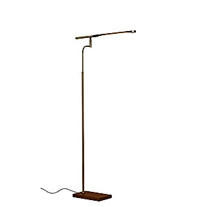 Adesso Home 3047-15 Transitional LED Floor Lamp from Barrett Collection, 18.00 inches, Walnut Finished Ash Wood W. Antique Brass Accents