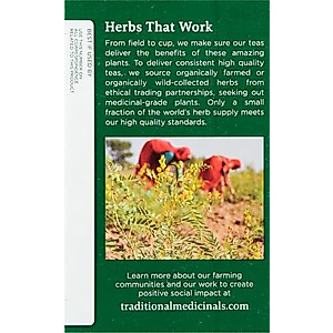 Traditional Medicinals Tea, Organic Dandelion Leaf & Root, Supports Kidney Function & Healthy Digestion, 16 Tea Bags