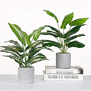 Der Rose 2 Pack Fake Plants Artificial Potted Faux Plants for Office Desk Home Farmhouse Decor