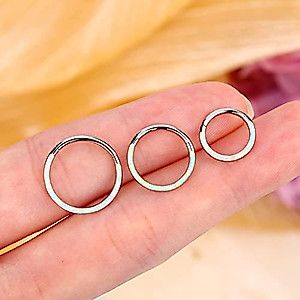 Jewseen G23 Solid Titanium Hinged Segment Hoop Rings White Opal Daith Earring Hoop 16G Tragus Helix Rings Cartilage Piercing Septum Clicker Body Jewelry