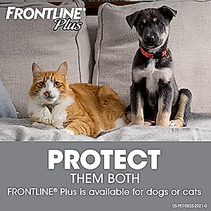 FRONTLINE Plus For Cats and Kittens Flea and Tick Treatment, 3 Doses