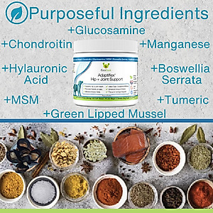 Adaptiflex Natural Joint Supplement for Dogs - Chondroitin, MSM, & Glucosamine for Dogs Hip and Joint Supplement - Aids in Joint Pain Relief - Hip and Joint Soft Chew Supplement for Dogs-Peanut Butter