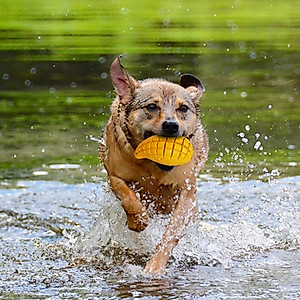 LPHSNR Upgrade Mango Dumbbells Dog Chew Toys for Aggressive Chewers, Indestructible Tough Dog Toys Interactive Durable with Mango Scent, Teething Clean for Large Puppy Medium Dogs Bite Resistant