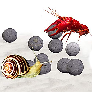 SunGrow Snail and Crayfish Energy Balls, Enhance Color, Calcium-Rich Gray Pearls for Invertebrates, Functional and Beneficial Aquarium Decor, 10-Pieces per Pack