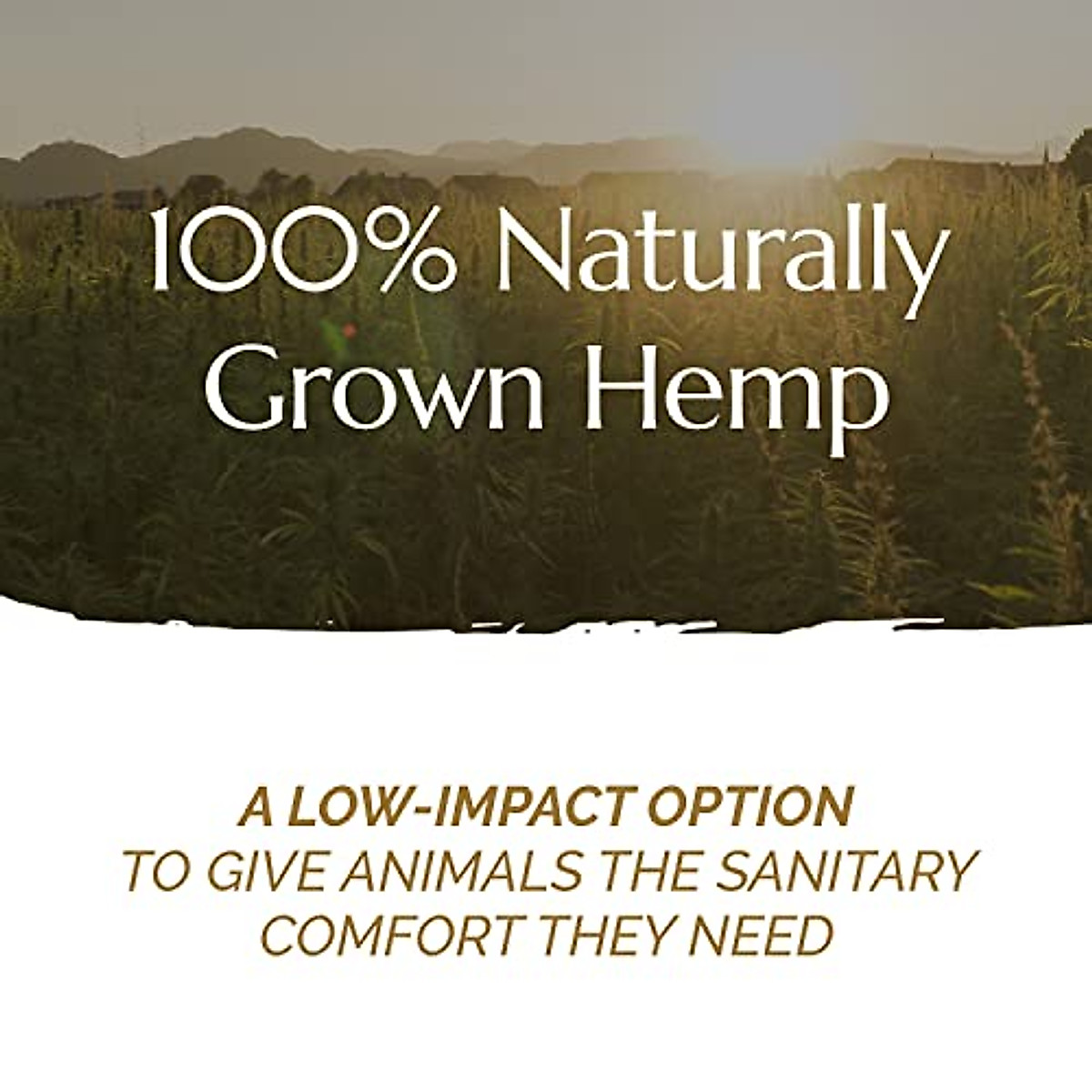 ChanvraPet All Purpose Hemp Pet Mats, Made of 100% Naturally Grown Hemp, No Chemicals Added, Reptile & Chicken Nesting Pads, Great for Terrariums, Small Tanks, and Cages