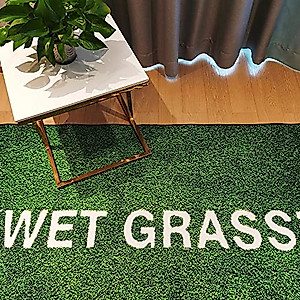 Carpet Wet Grass Rug Carpet Living Room Decoration Carpet Bedroom Bedside Bay Window Area Rugs Sofa Floor Mat Rugs (23.62 in x 35.43 in)