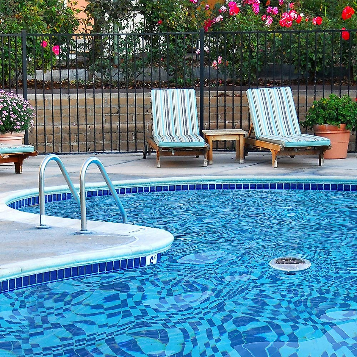 AWSINE Solar Pool Ionizer Swimming Water Cleaner Purifier