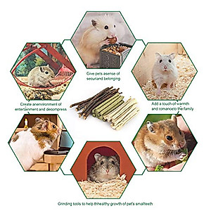 NEREIDS NET 300g Hamster Natural Snack Kit Apple Sticks, Teeth Grinding Toy, Timothy Hay Sweet Bamboo Chew Teeth Care Wood Toys for Gerbil Bunny Chinchilla Guinea Pig Pets Food