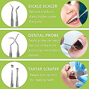 PARYUNGR Dental Tools, Professional Teeth Cleaning Oral Care Hygiene Kit, Stainless Steel Dental Pick Tooth Scraper Tartar Plaque Remover for Dentist, Personal, Pet Use with Storage Box
