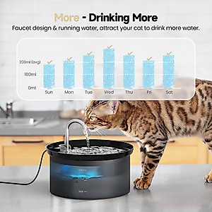 Cat Water Fountain: BMDSAE 88Oz Pet Water Fountains Indoor 24/7 Running Water Supplies Dispenser for Drinking Dish Automatic Dog Waterer Bowls Flow Ultra Quiet Pump Faucet Bottle Watering