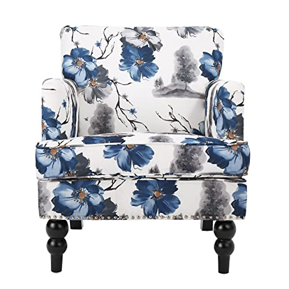 Christopher Knight Home Boaz Fabric Club Chair - Floral Print