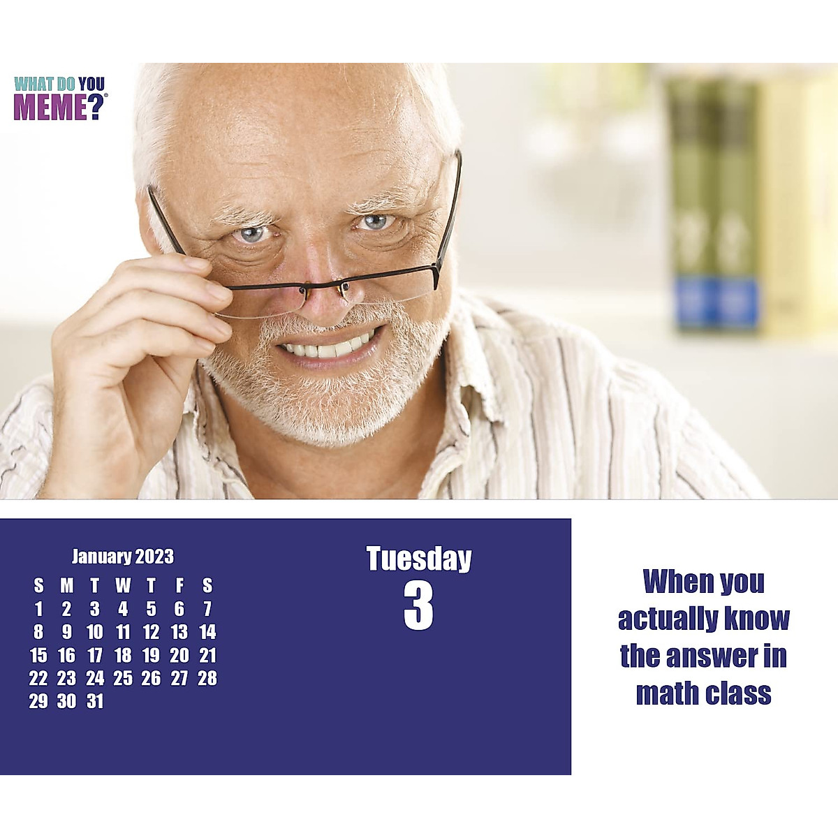 2023 What Do You Meme? Day-at-a-Time Box Calendar